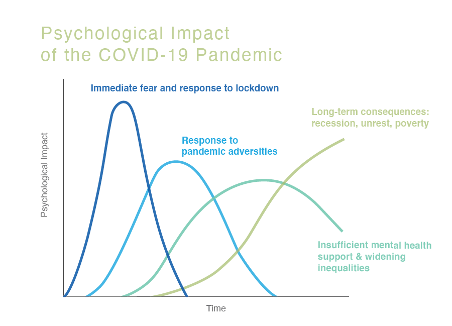 Tracking the psychological and social waves of the pandemic: the COVID ...